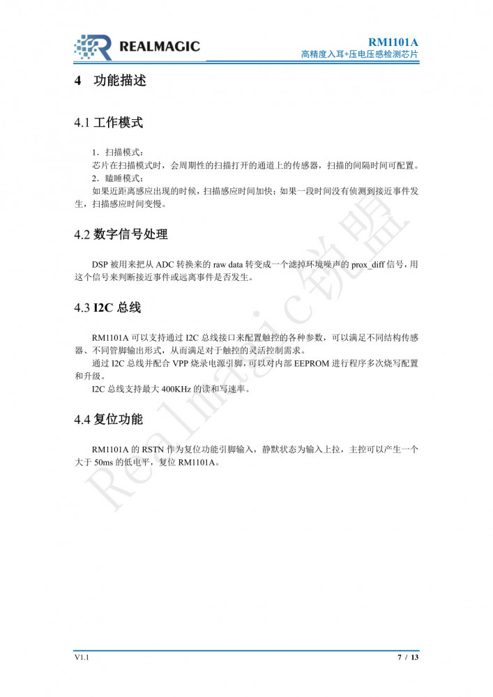 RM1101A datasheet page 7