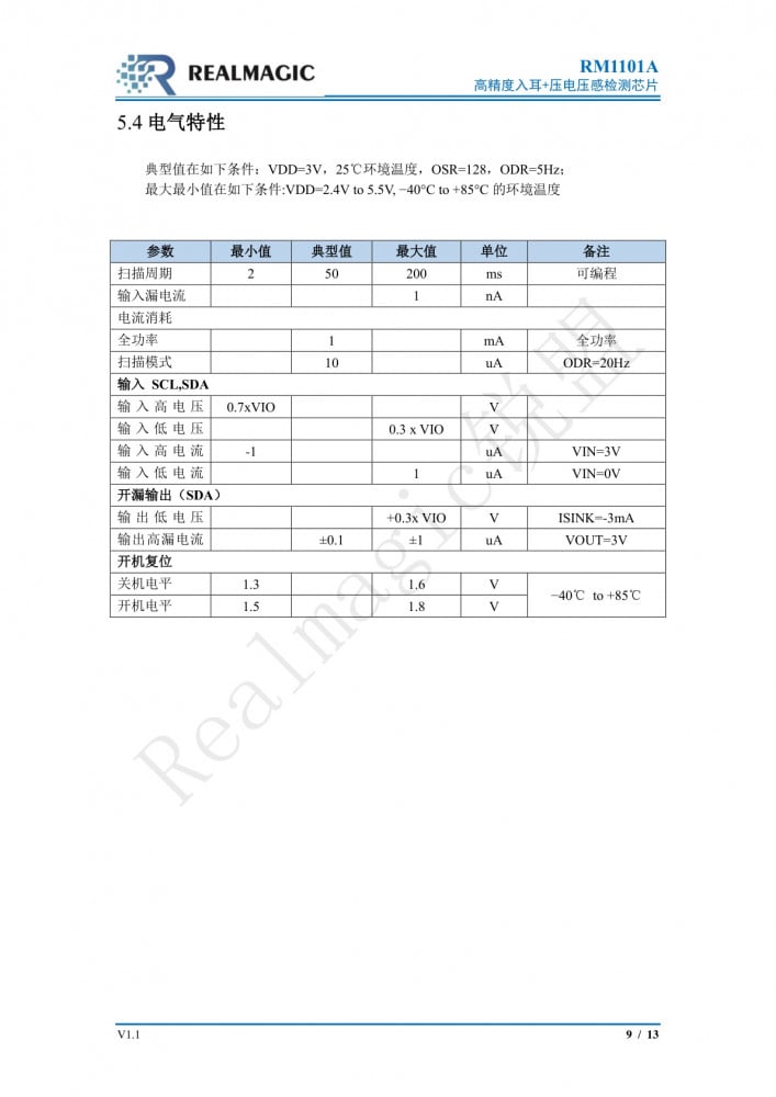 RM1101A datasheet page 9
