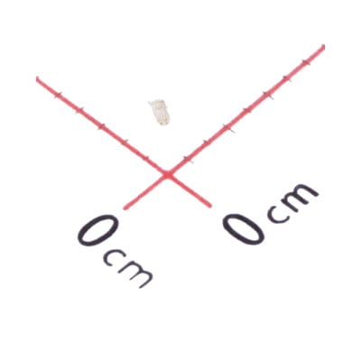 Amicc A-SP192DB1C-C01-4T Discrete LED Indicator Chip