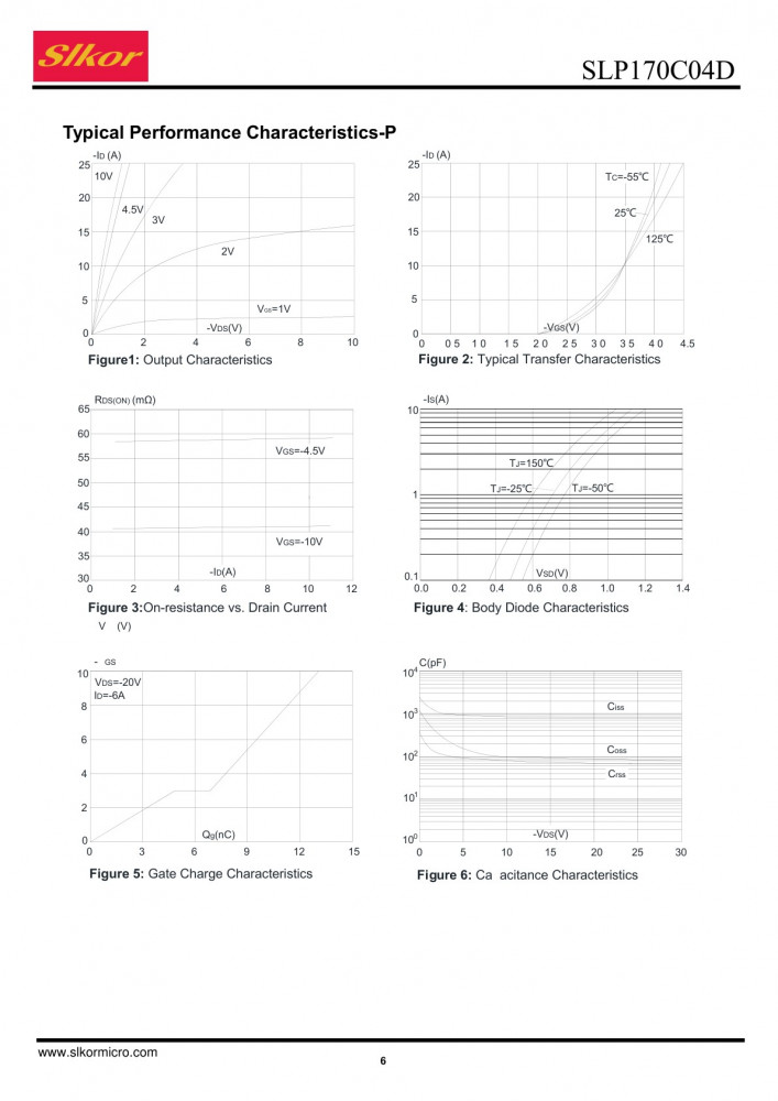 SLP170C04D datasheet page 6