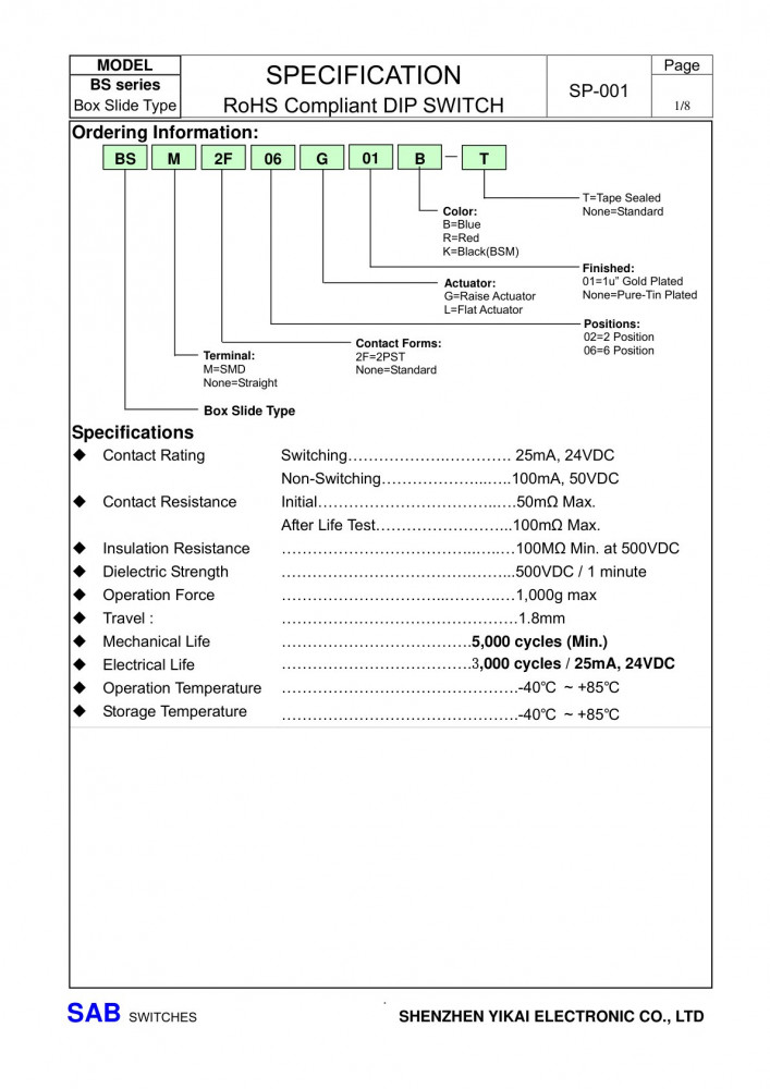 BIWIN BS series specification page 1