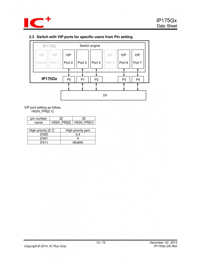 IP175G datasheet page 10