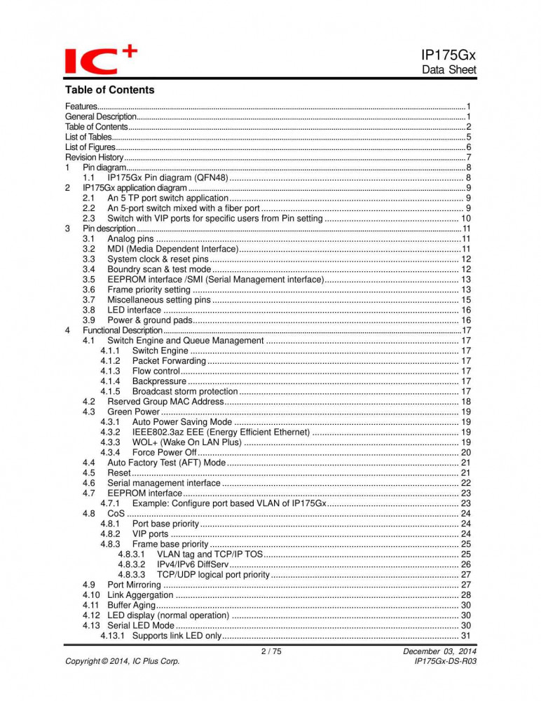 IP175G datasheet page 2