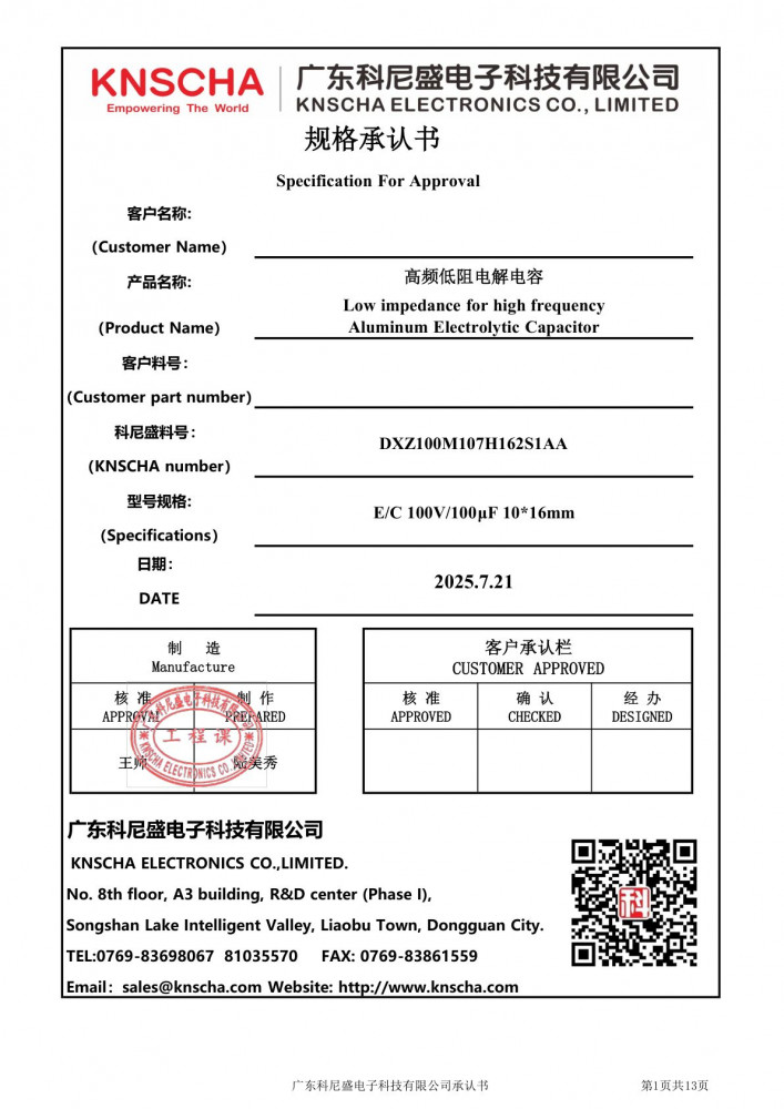 KNSCHA DXZ100M107H162S1AA specification page 1