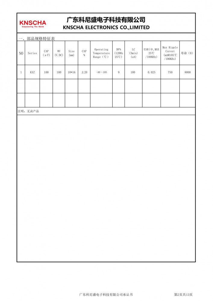 KNSCHA DXZ100M107H162S1AA specification page 2