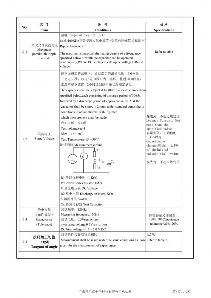 KNSCHA DXZ100M107H162S1AA specification page 6