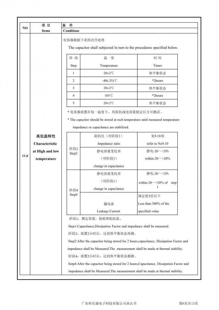KNSCHA DXZ100M107H162S1AA specification page 8