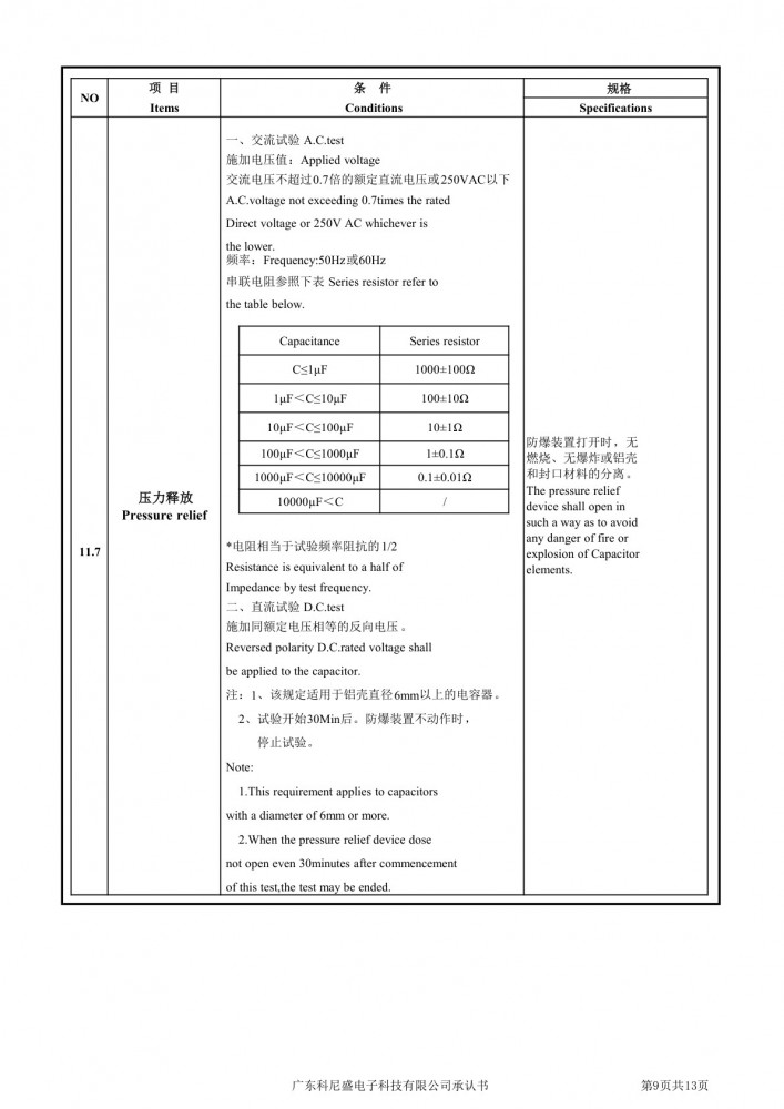 KNSCHA DXZ100M107H162S1AA specification page 9