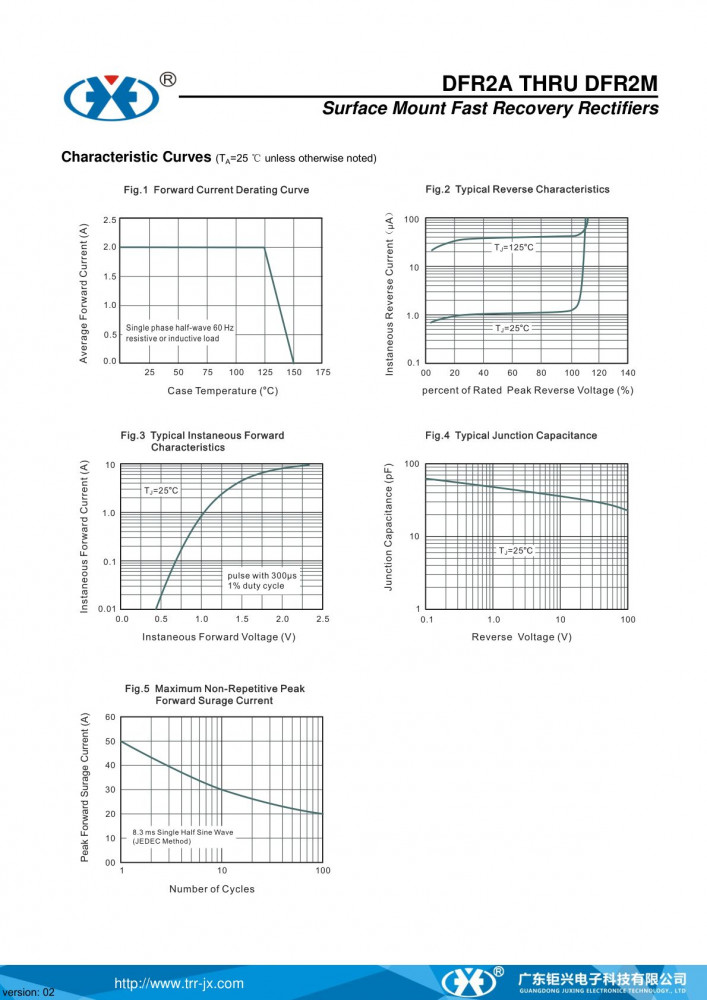 DFR2M F2M datasheet page 2