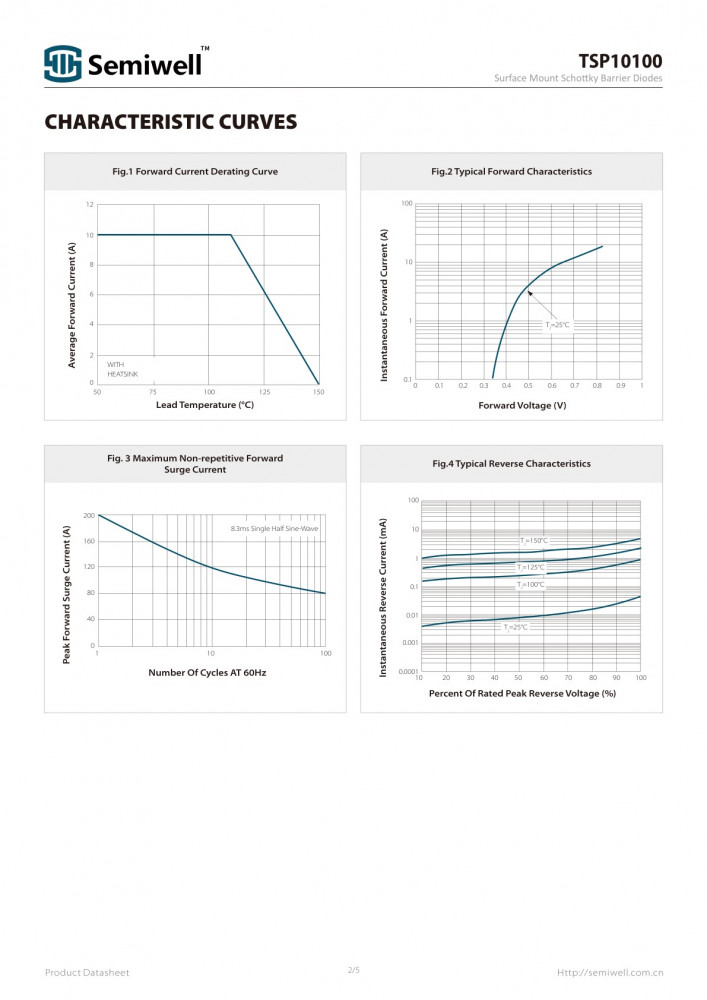 TSP10100 datasheet page 2