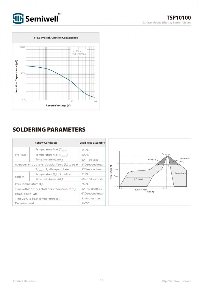 TSP10100 datasheet page 3