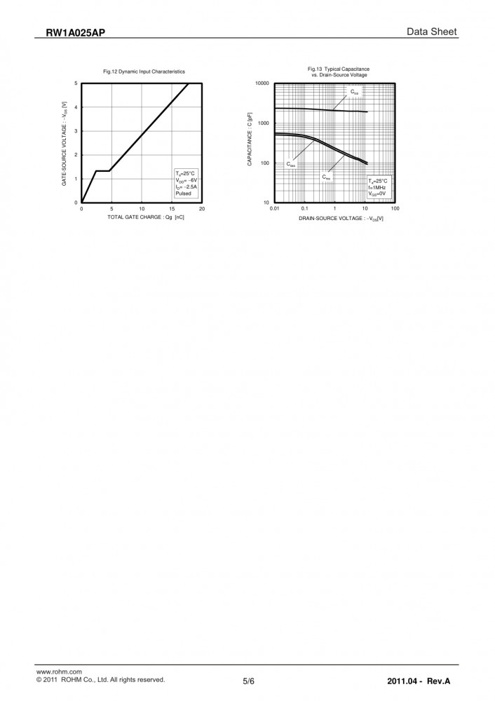 RW1A025AP technical document page 5