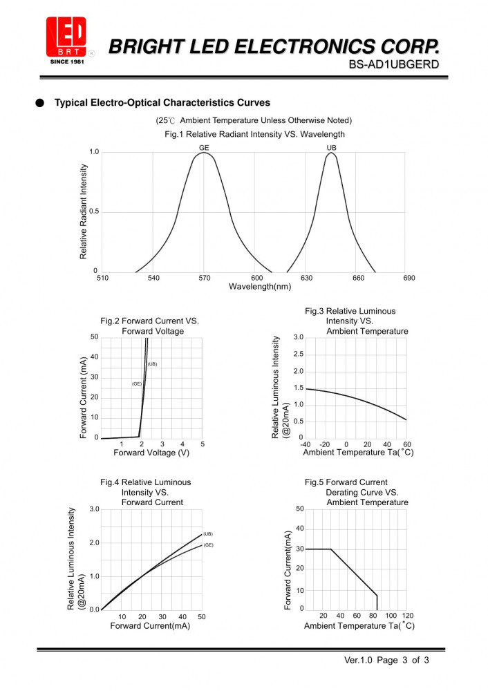 BS-AD1UBGERD datasheet page 3