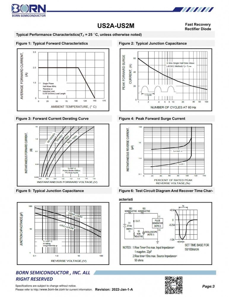 BORN US2M datasheet page 3