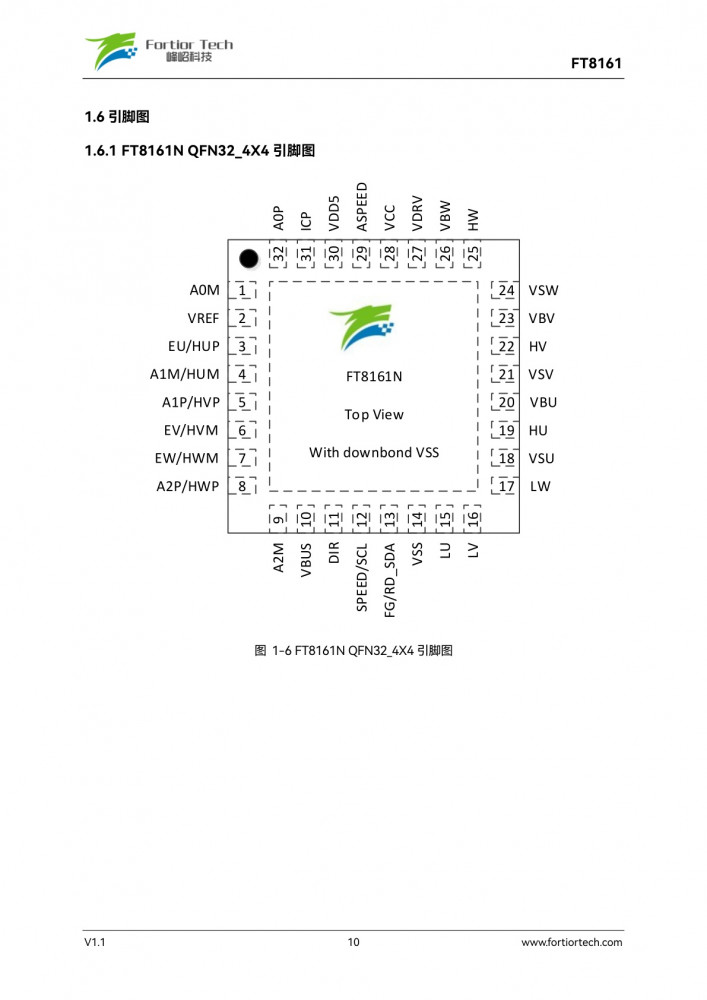 FT8161N datasheet page 10