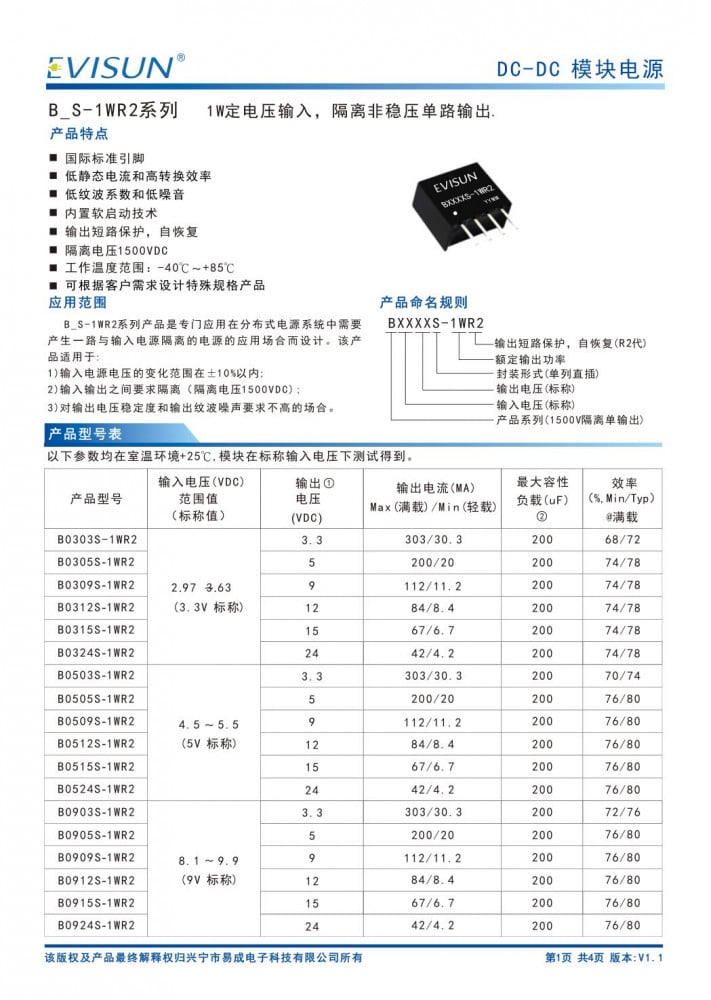 EVISUN B0505S-1WR2 datasheet page 1