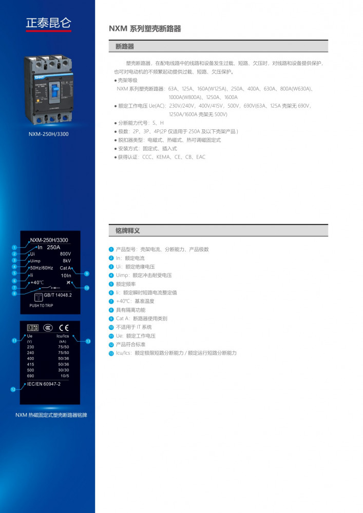 CHINT NXM technical document page 3