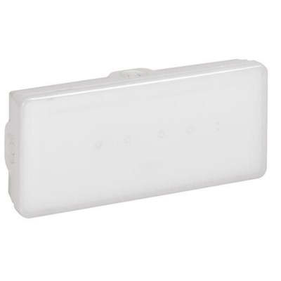 Emergency luminaire B65 - standard maintained / non maintained - 100 lm - 1h - LED for sale