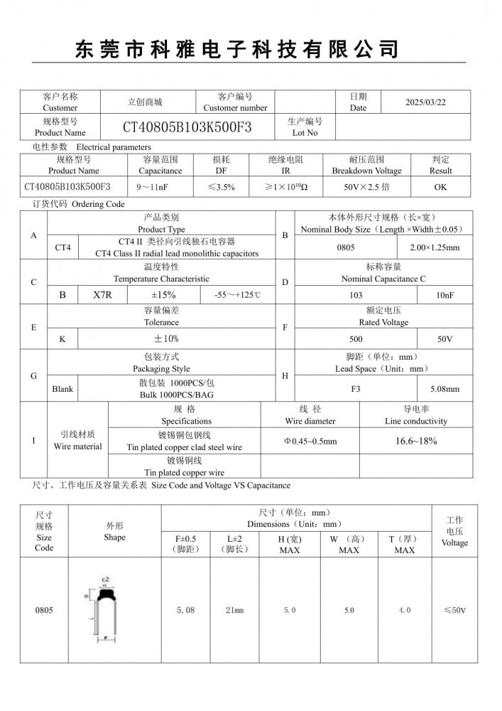 CT40805B103K500F3 datasheet page 2