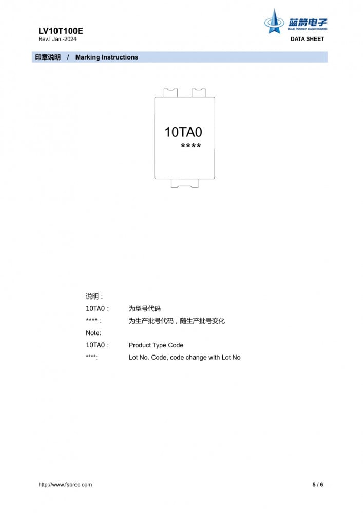 LV10T100E datasheet page 5