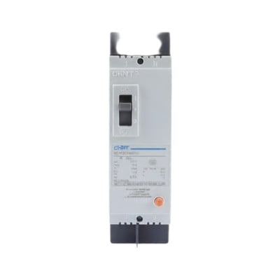 CHINT DZ158LE-125 2P 100A 30mA Miniature Residual Current Circuit Breaker