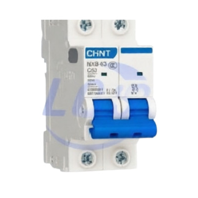 CHINT NXB-63 2P C63 for sale