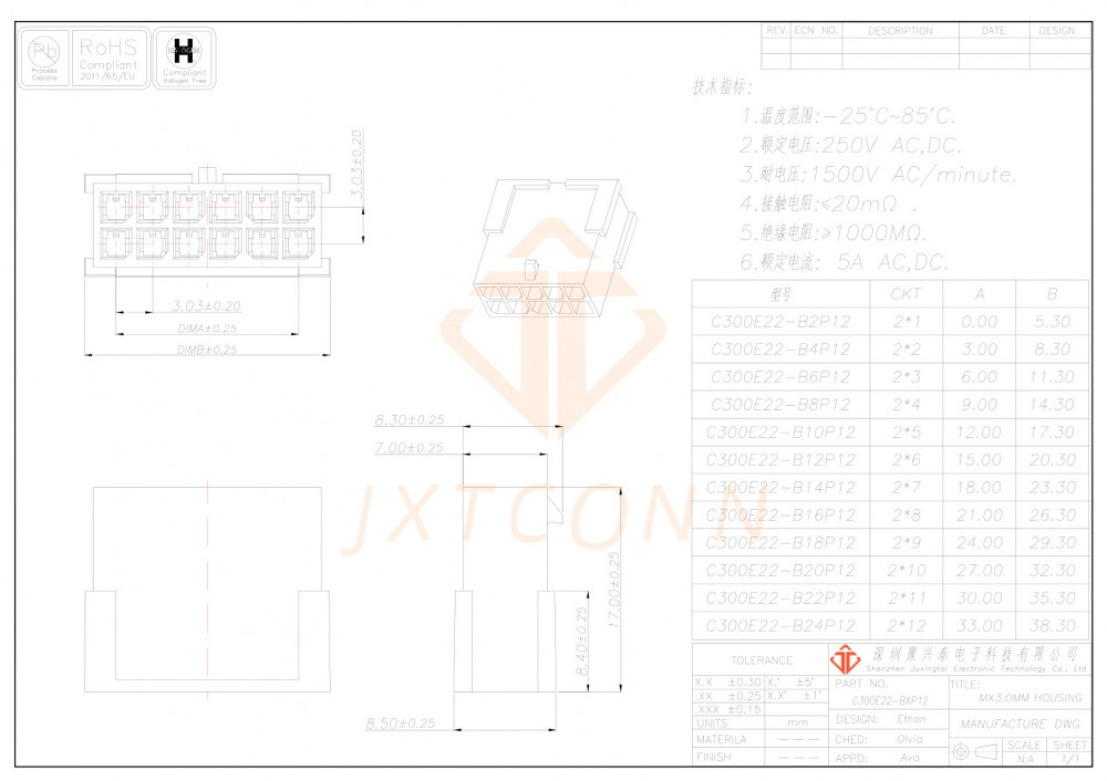 C300E22-B6P12 technical drawing page 1