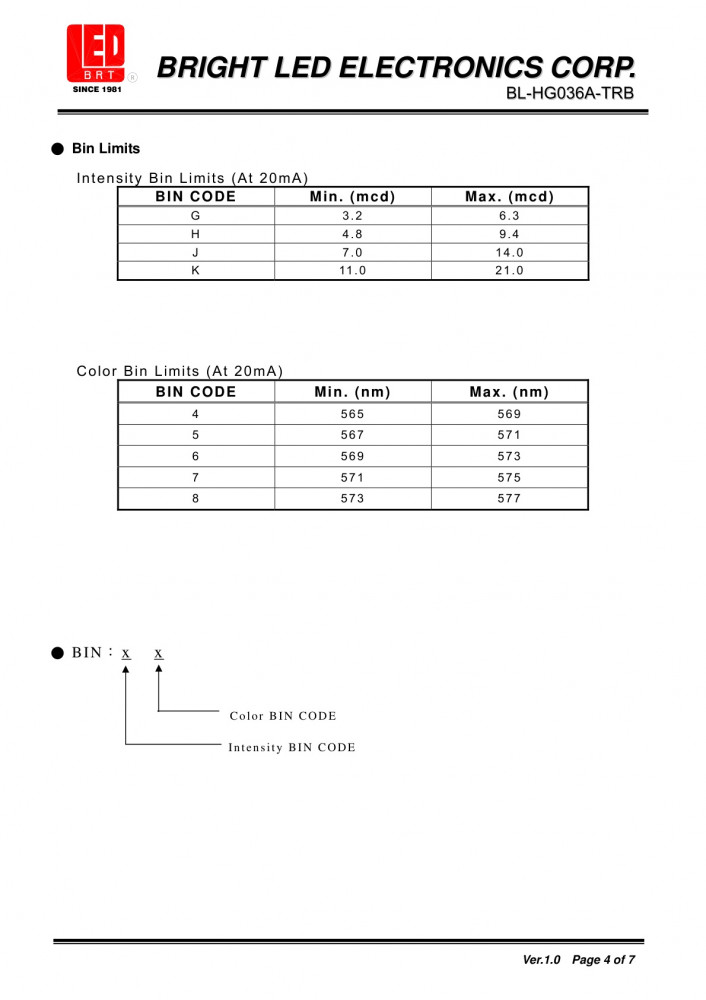 BL-HG036A-TRB datasheet page 4