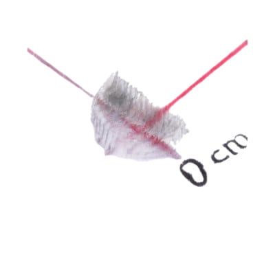 Chilisin ABPY00160808600Y00 Ferrite Bead Chip for EMI Suppression for sale