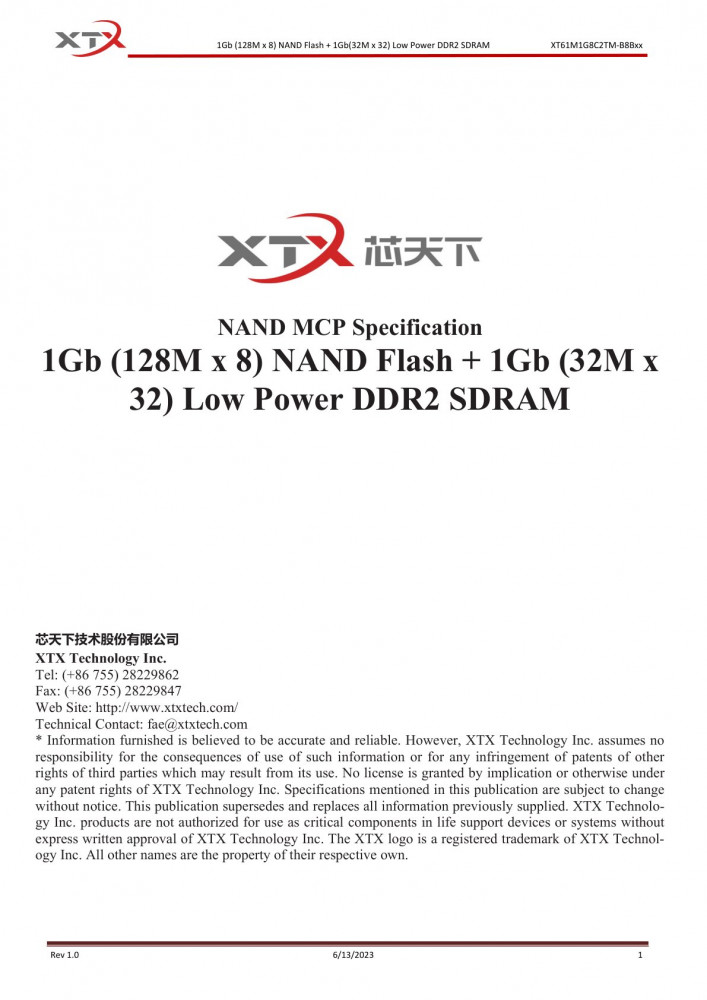 XT61M1G8C2TM-B8BEA datasheet page 1