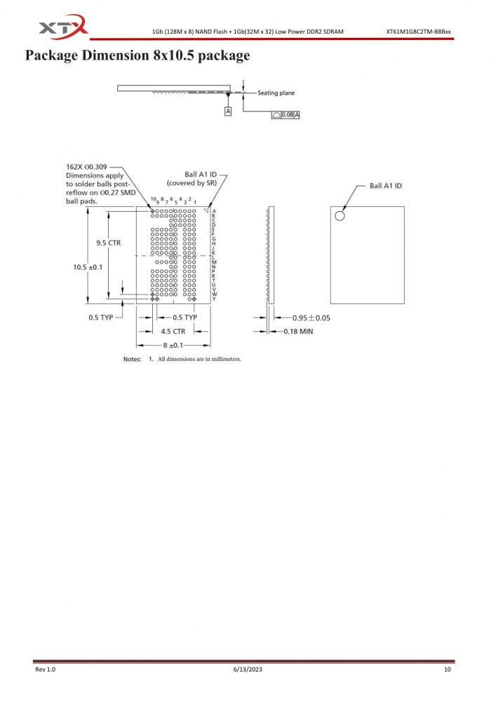 XT61M1G8C2TM-B8BEA datasheet page 10
