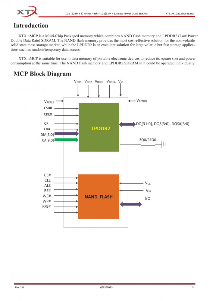XT61M1G8C2TM-B8BEA datasheet page 3