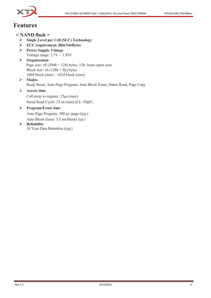 XT61M1G8C2TM-B8BEA datasheet page 4