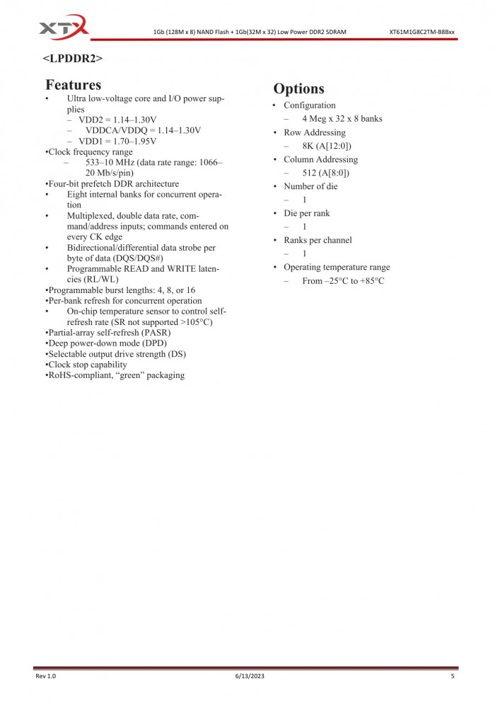 XT61M1G8C2TM-B8BEA datasheet page 5