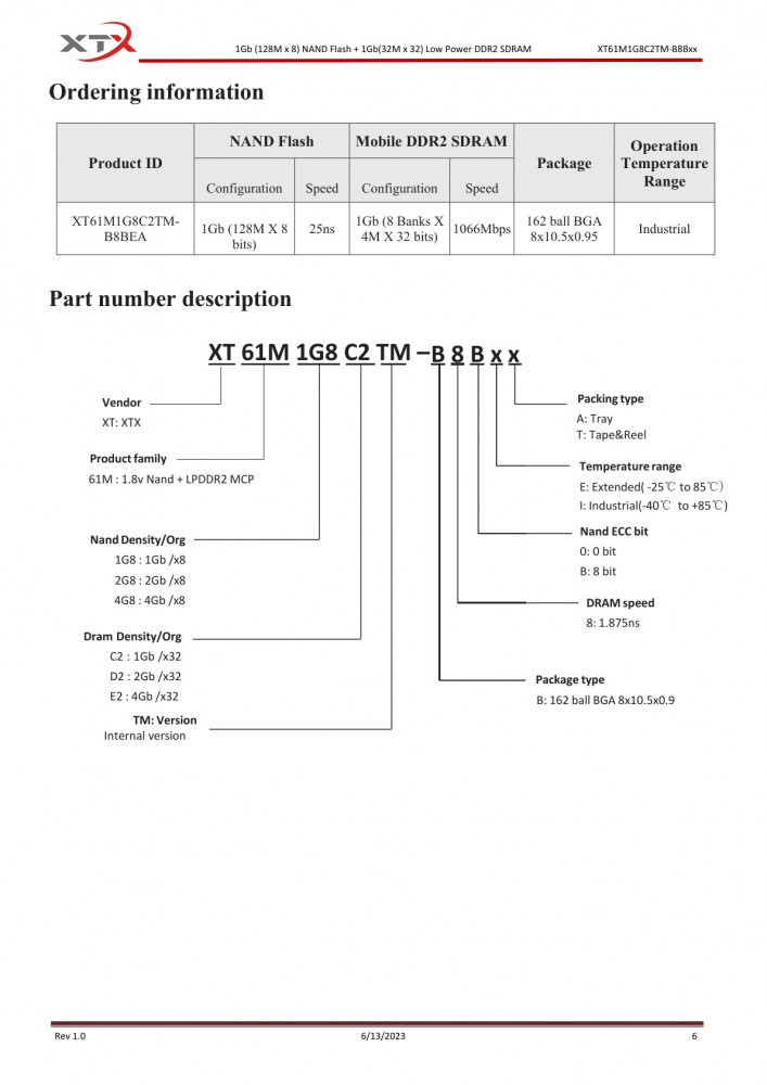 XT61M1G8C2TM-B8BEA datasheet page 6