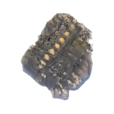 Hanbo Electronic DS-06P DIP Switch for sale