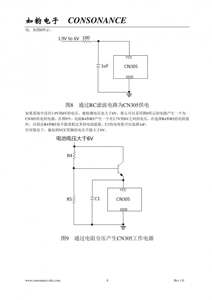 CN305 datasheet page 8