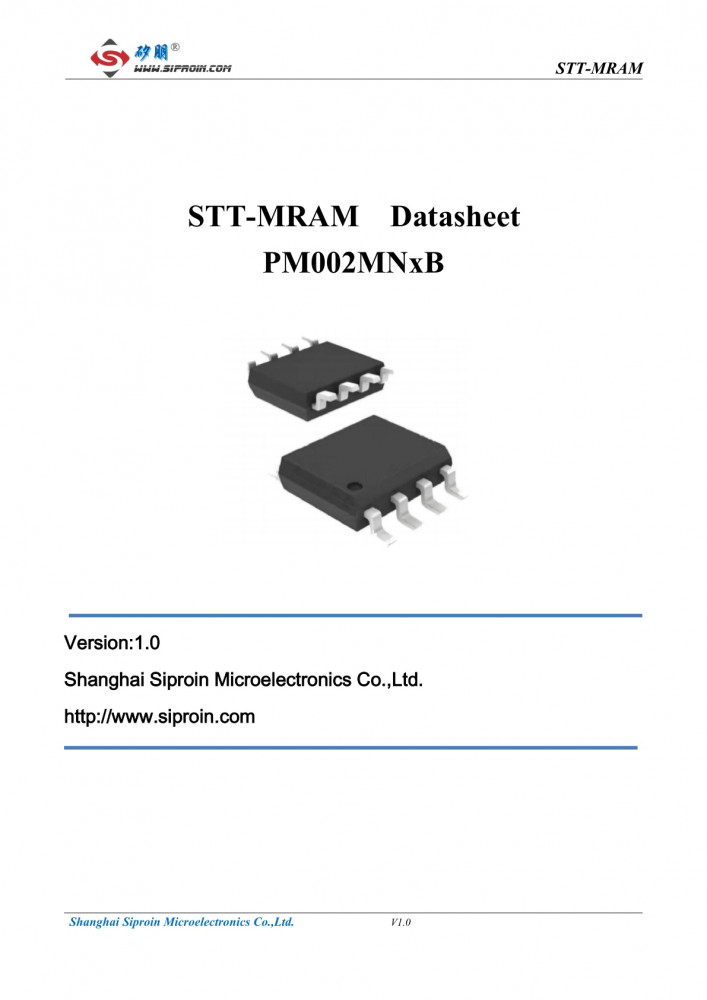 PM002MNEB datasheet page 1