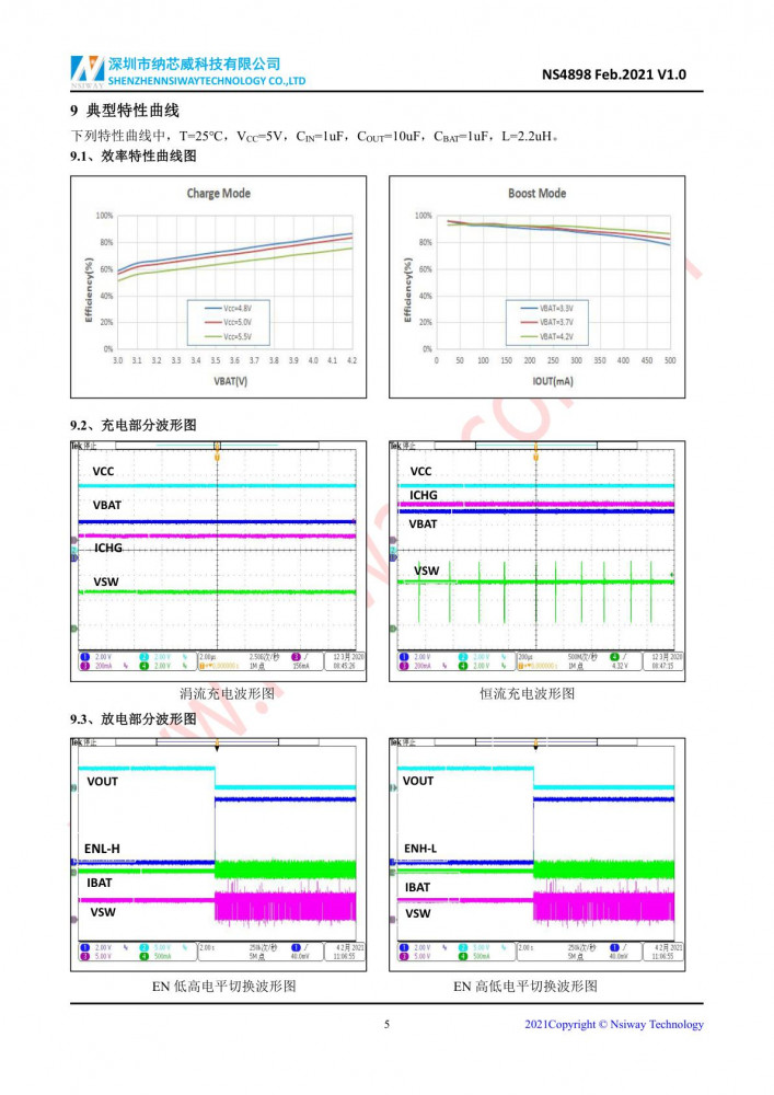 NS4898 datasheet preview, page 5