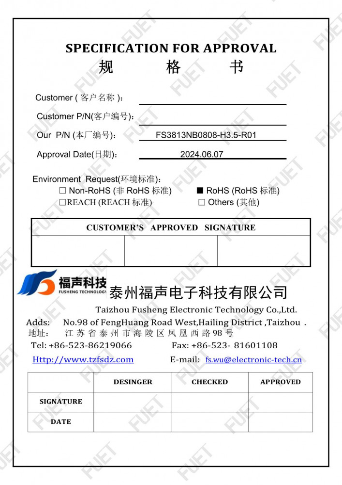 FS3813NB0808-H3.5-R01 specification page 1