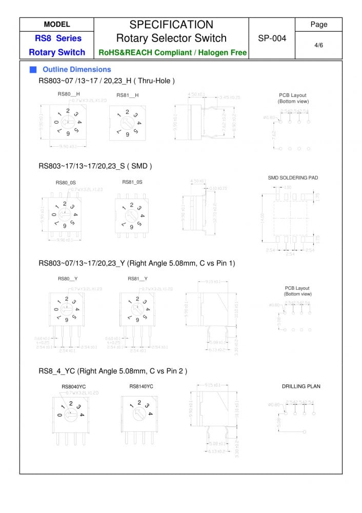 BIWIN RS8 datasheet page 4