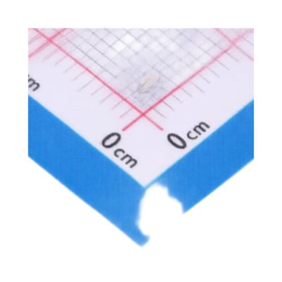 Chau Light ZSB1-1606C-10-C4 Discrete LED Indicator Chip