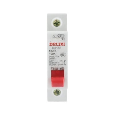Delixi Electric DZ47G 2P 32A Disconnect Switch Component