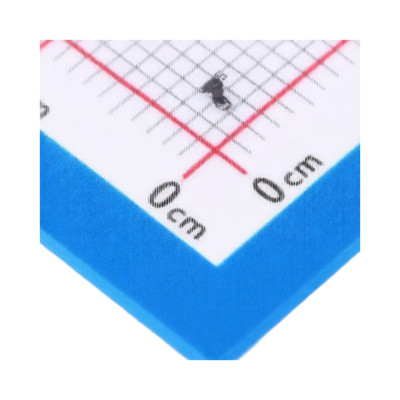 FUXINSEMI Rclamp3311P-FS TVS Diode Chip for Circuit Protection for sale