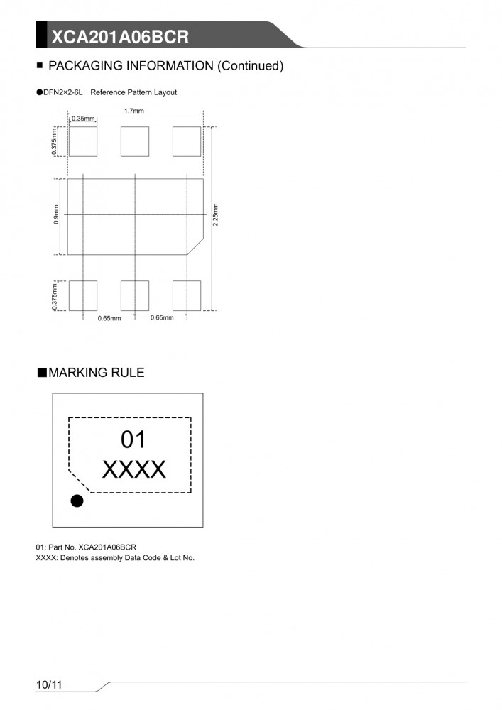 XCA201A06BCR datasheet page 10