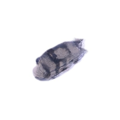 JSCJ US1BF Single Diode