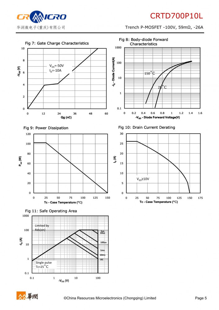 CRTD700P10L datasheet page 5
