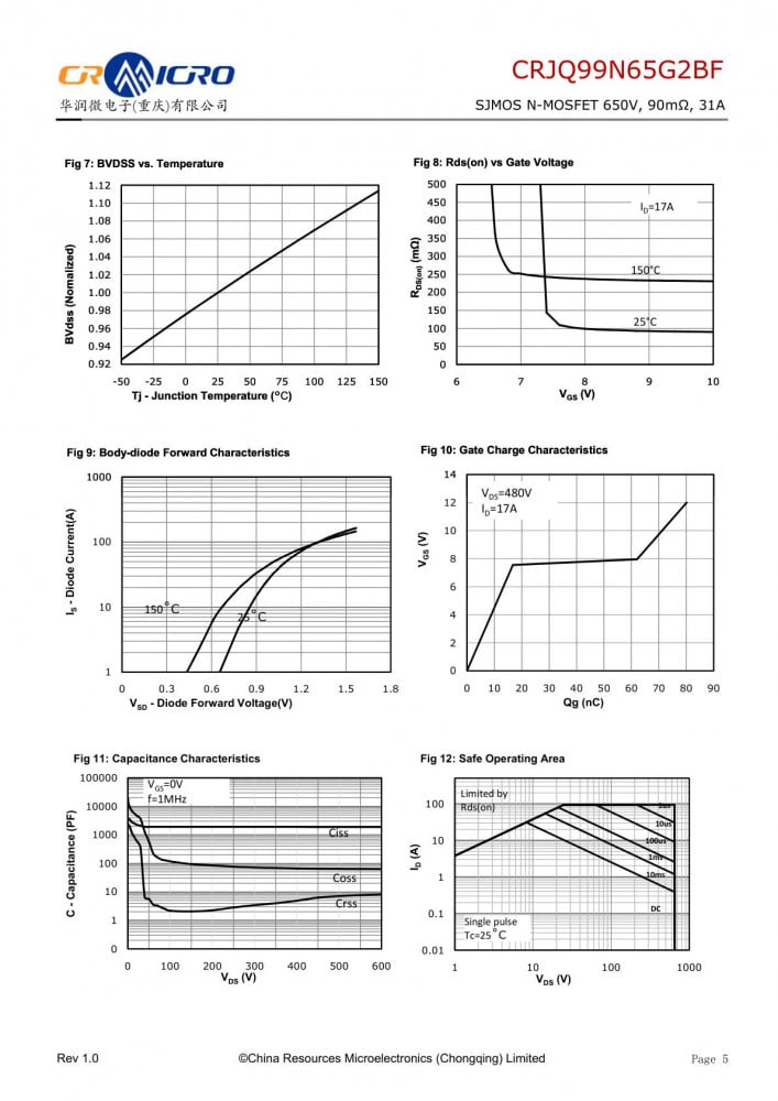 CRJQ99N65G2BF datasheet page 5