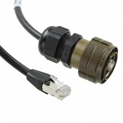 CINCH C-RJFTV5E1706PG10 Modular Ethernet Cable (RJ45/RJ11)