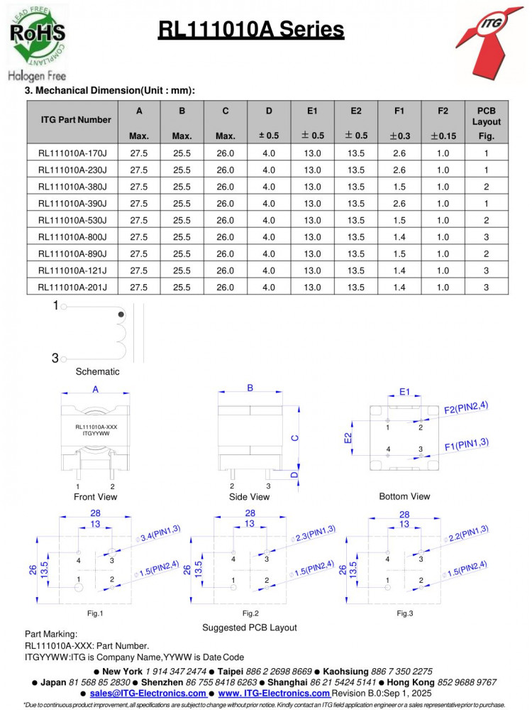 RL111010A datasheet page 2